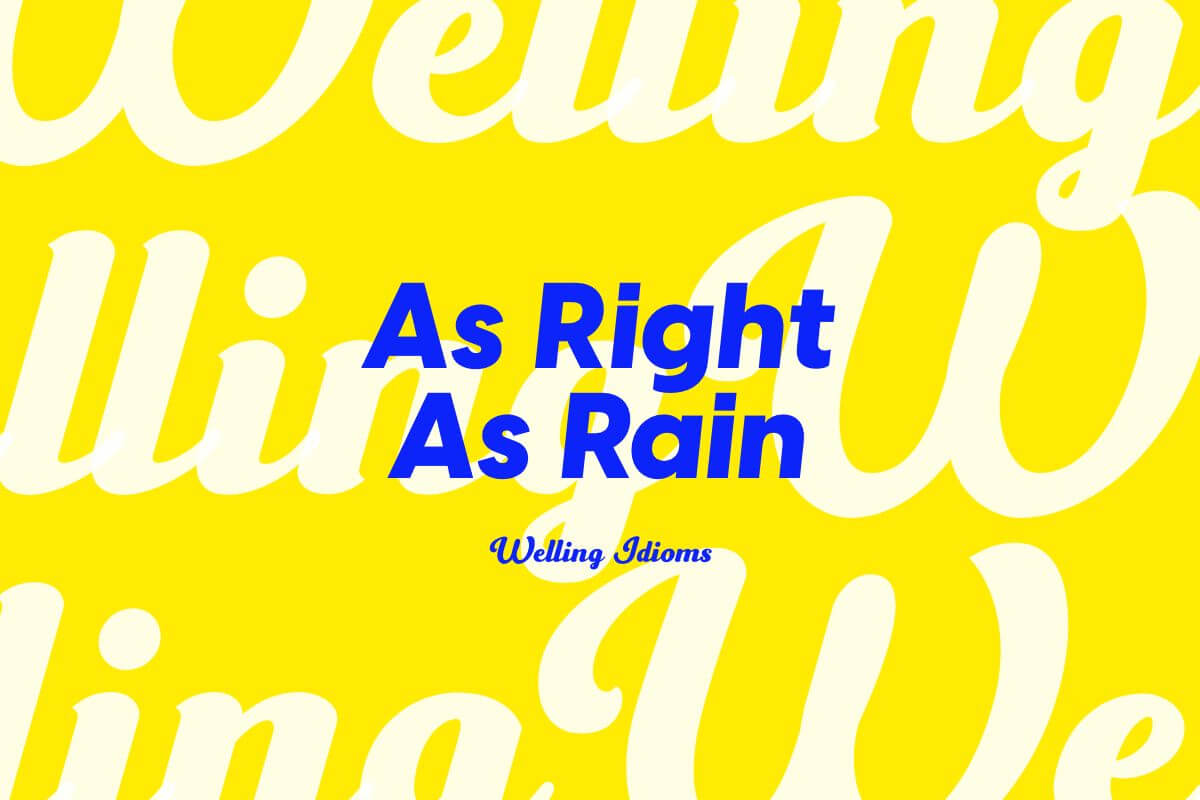 Drop by - Meaning & Examples