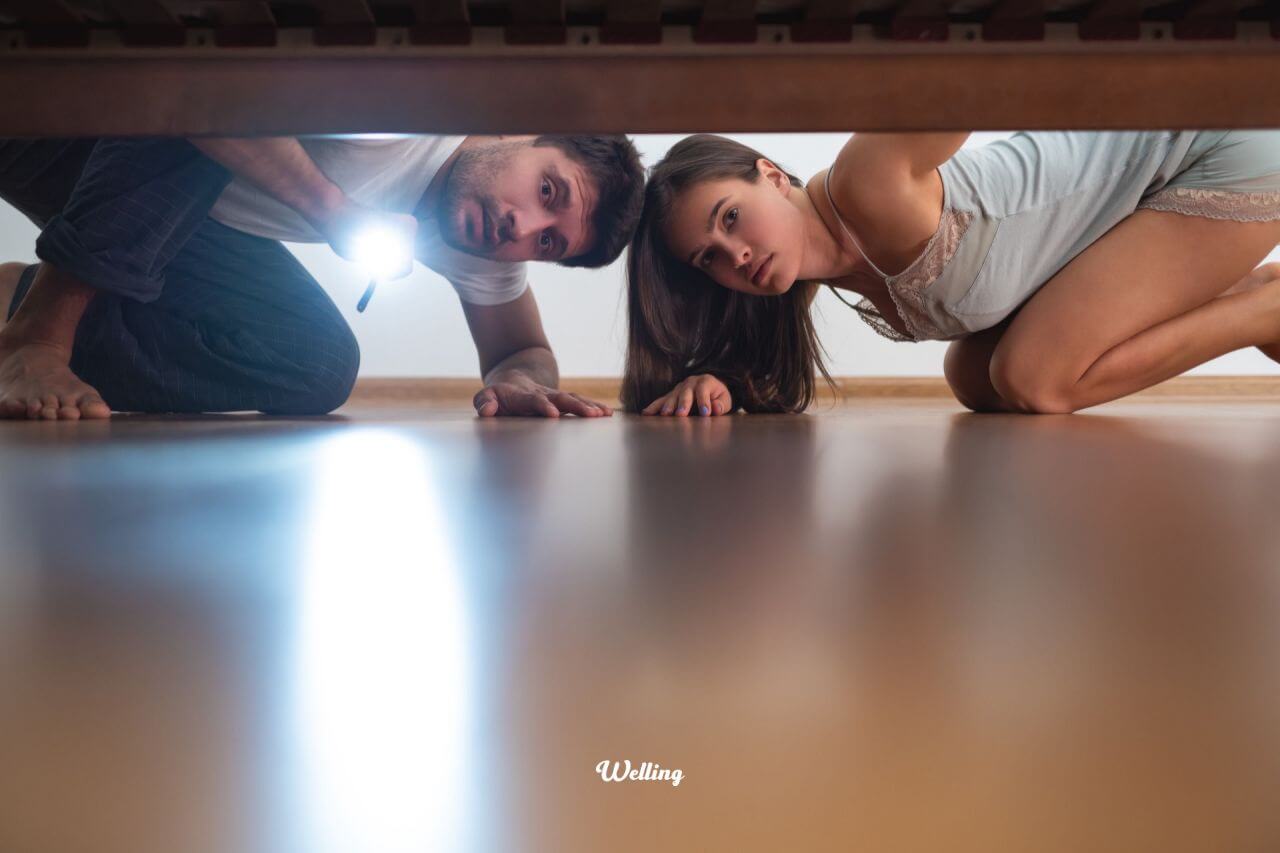 Have you seen - Meaning & Examples